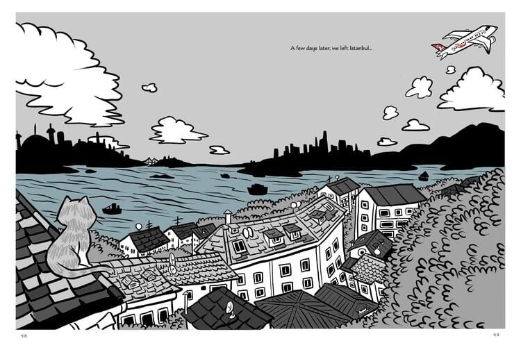 Cat Compound in Cihangir