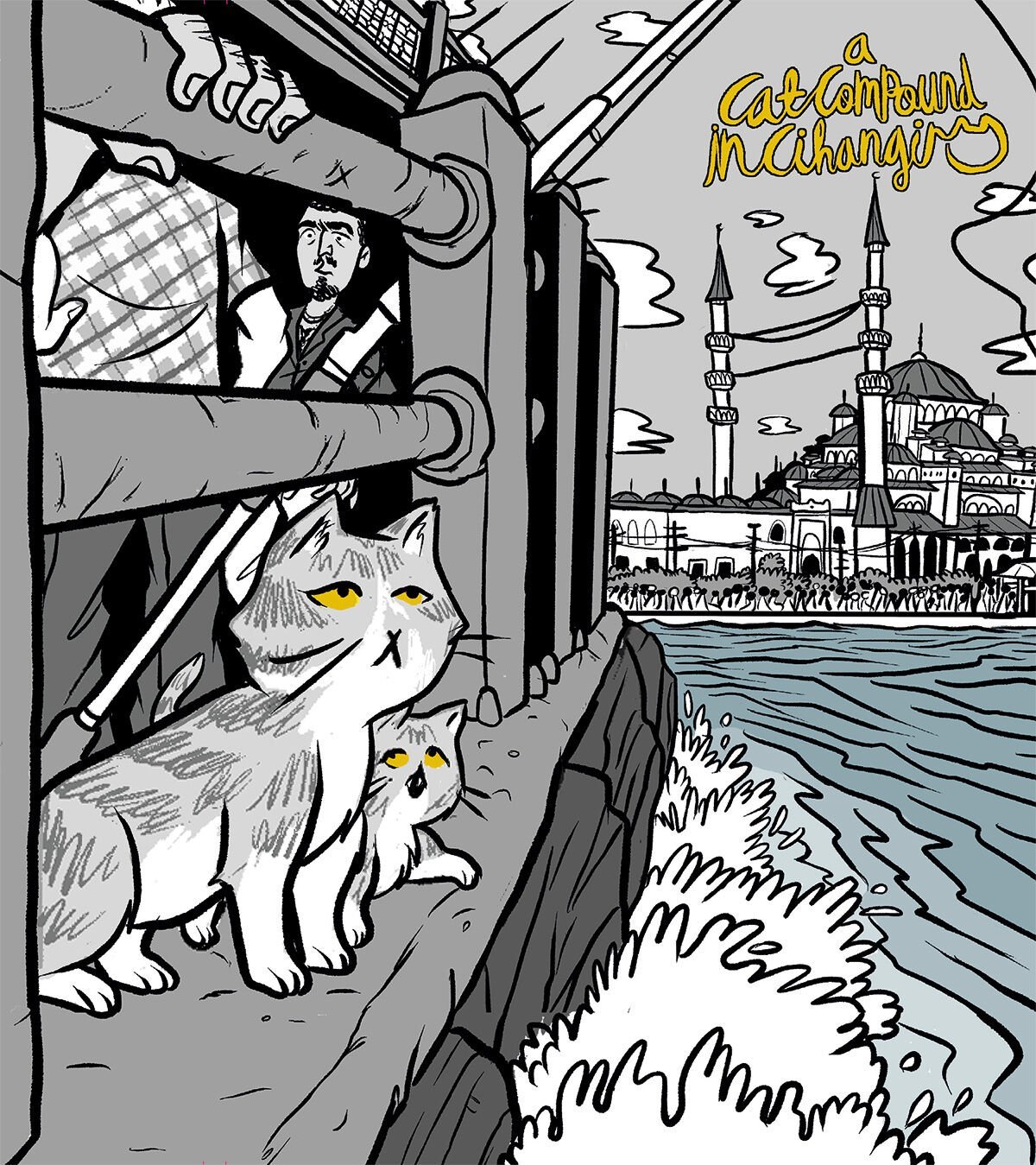 Cat Compound in Cihangir